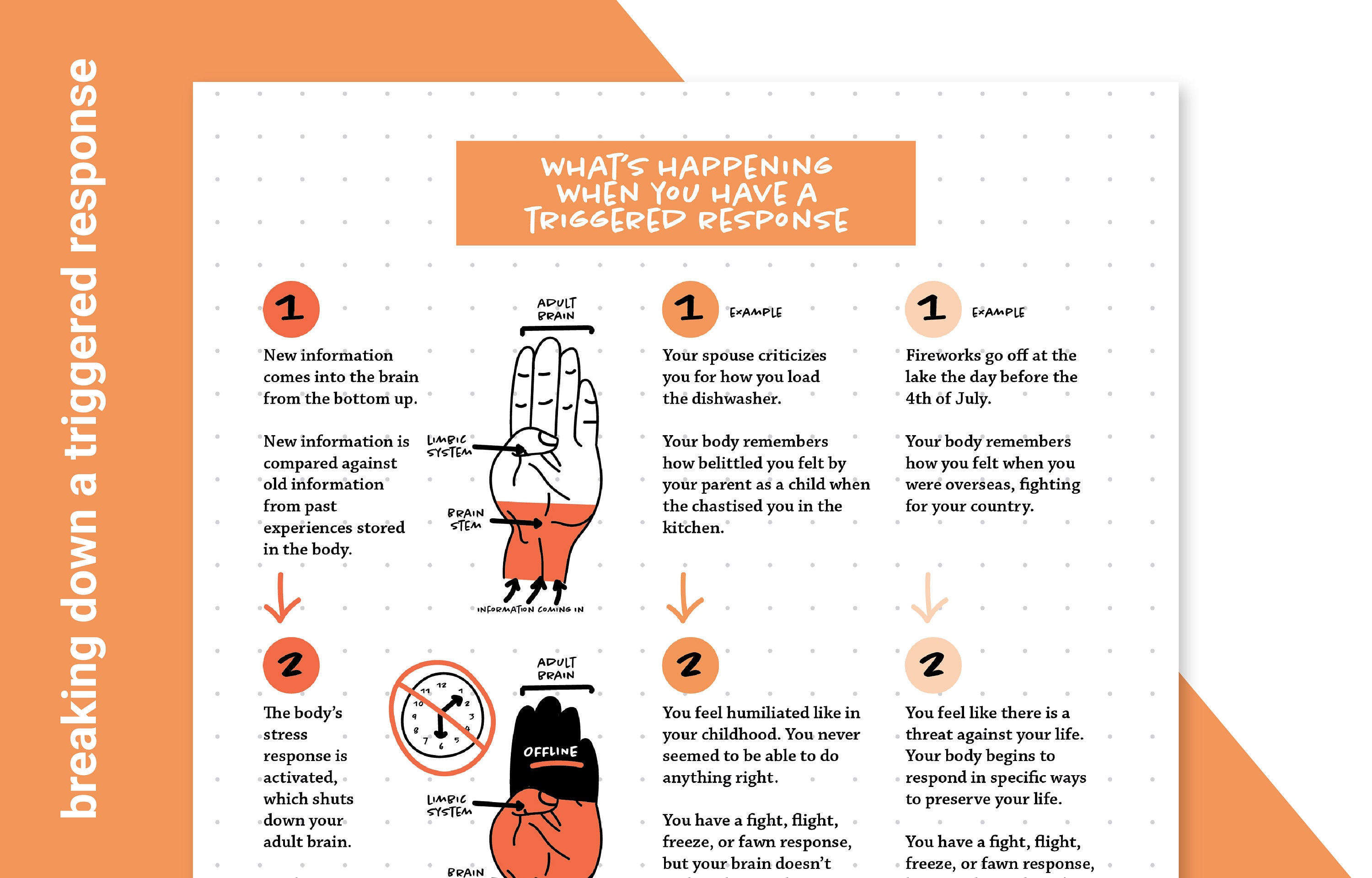 The Triune Brain Hand Model Edition Handout - Etsy