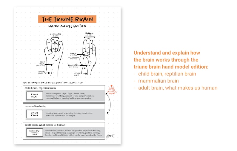 The Triune Brain Hand Model Edition Handout - Etsy