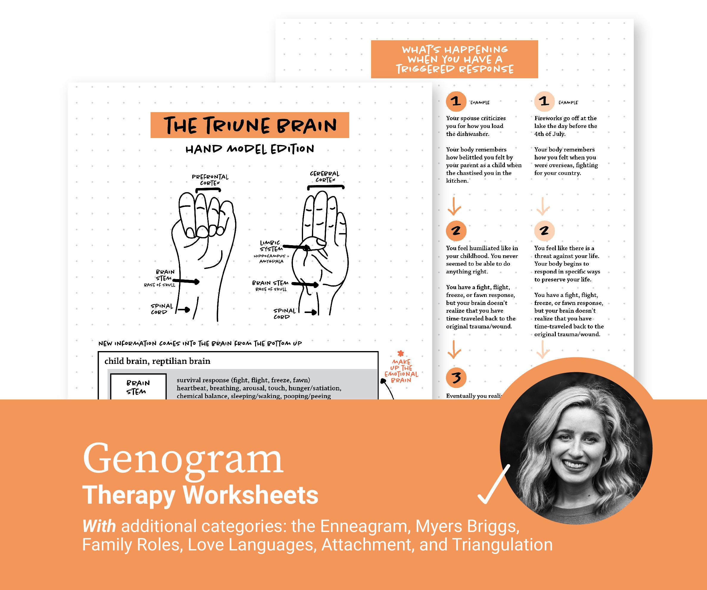 The Triune Brain Hand Model Edition Handout - Etsy