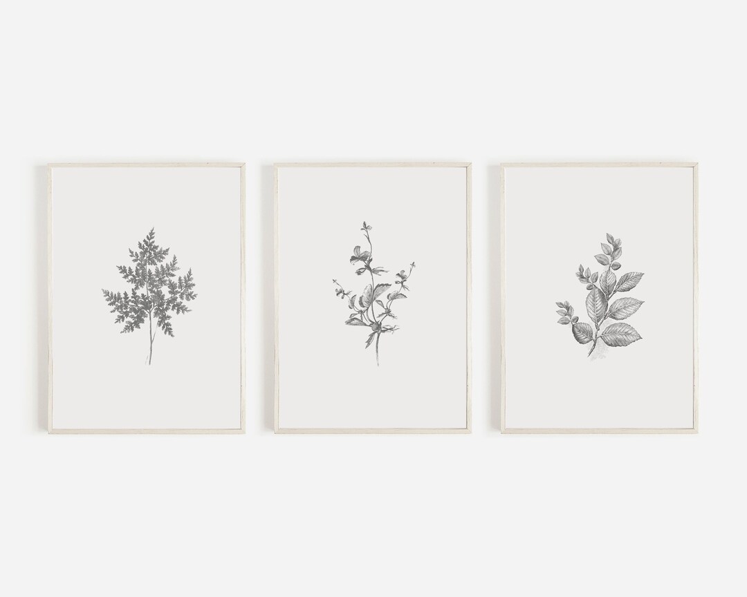 Vintage Botanical Print Set Of 3 Neutral Printable Art Downloadable