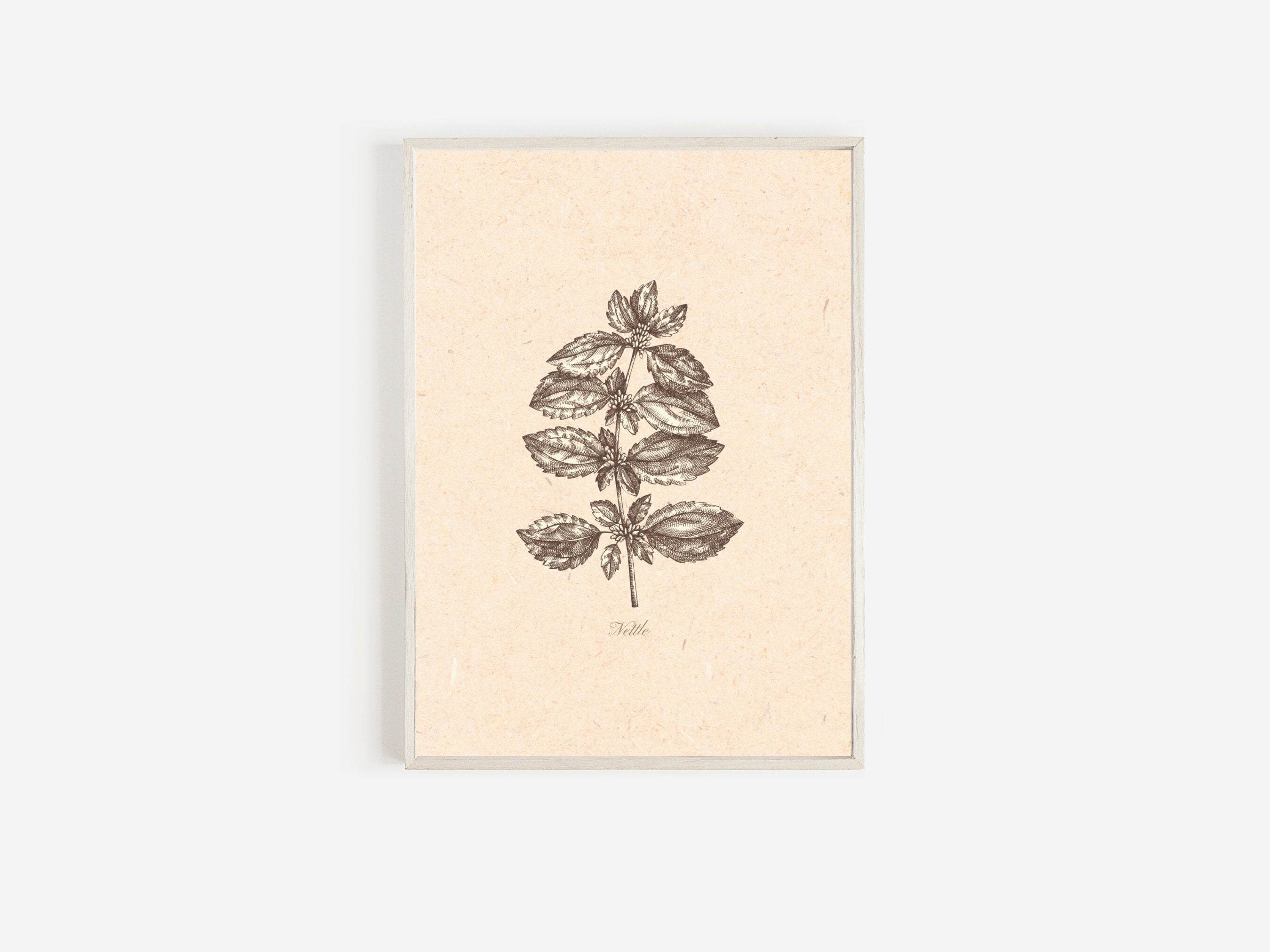 Medicinal Herbs Print, Instant Download, Nettles, Herb Prints Vintage ...