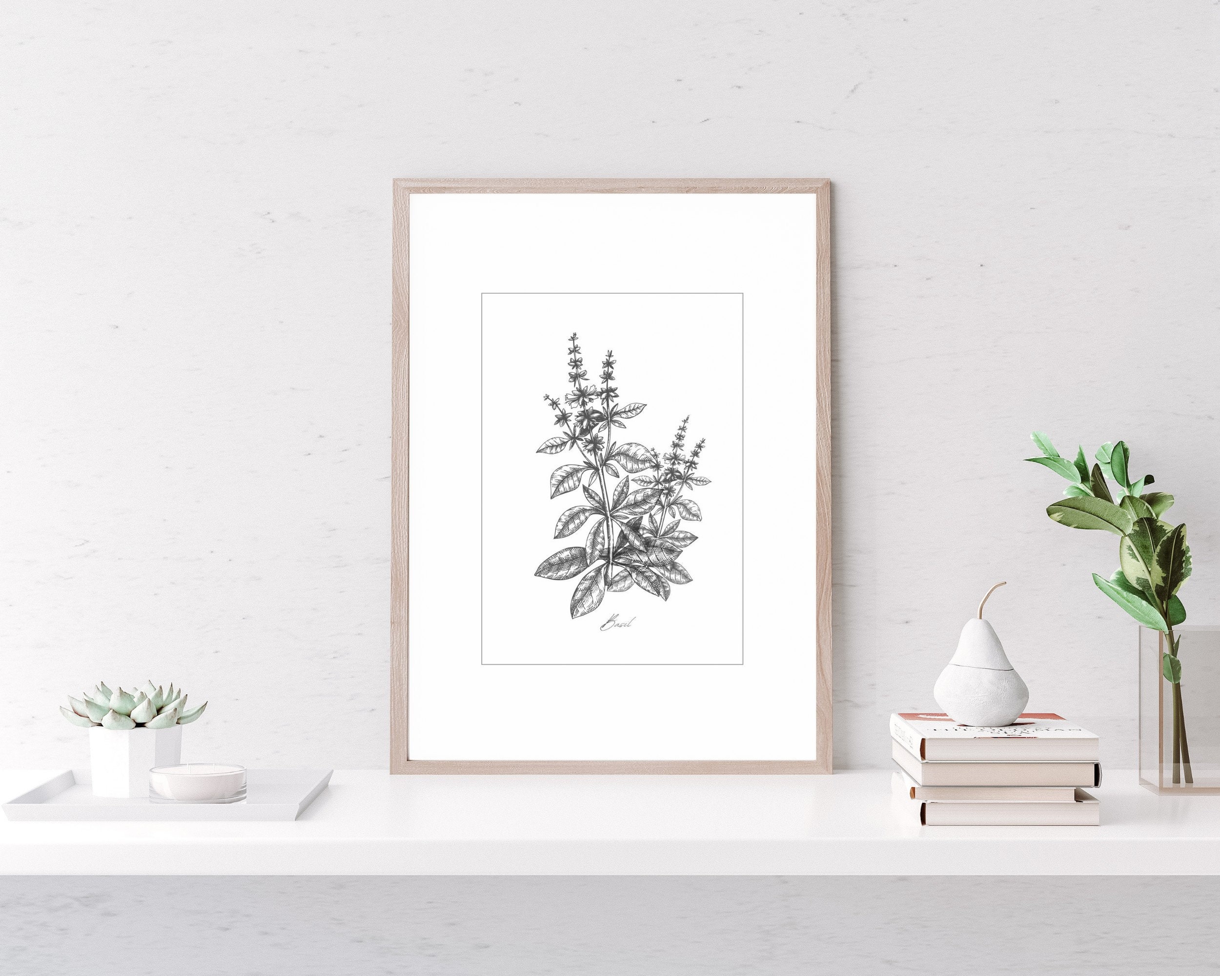 Basil Herb Printable, Digital Download, Herb and Spice Wall Art, Herbs ...