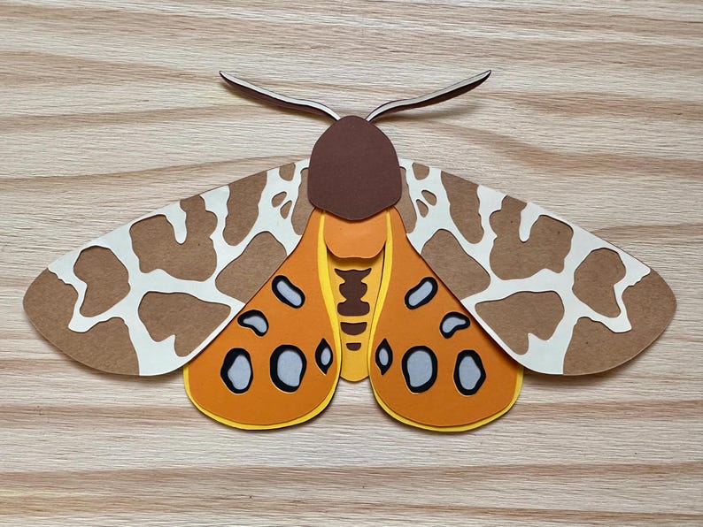 Layered Paper Garden Tiger Moth - Etsy