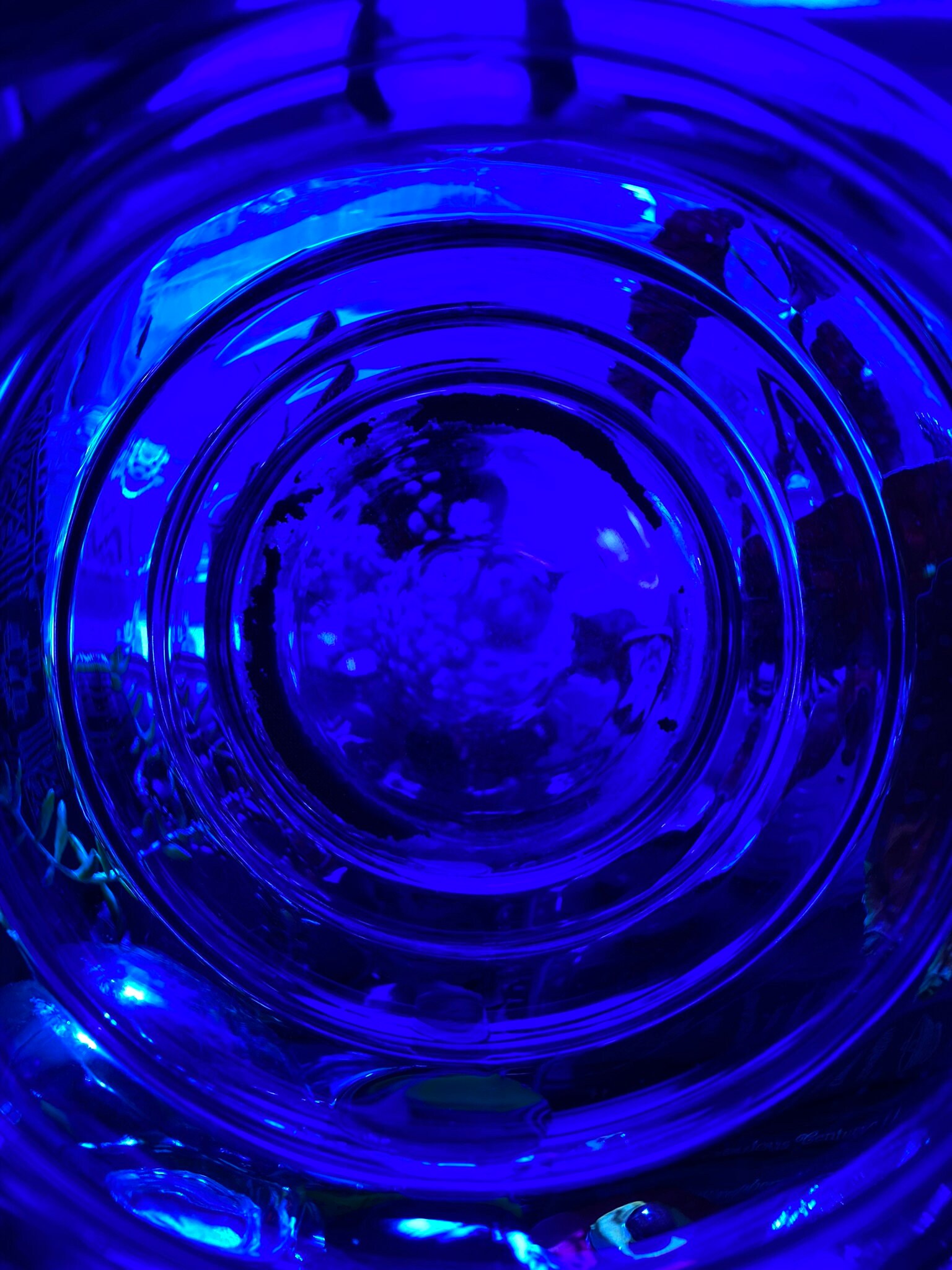 Louie Glass Co. Harpo Cobalt Blue Pitcher , Honeycomb , Bubble Glass ...