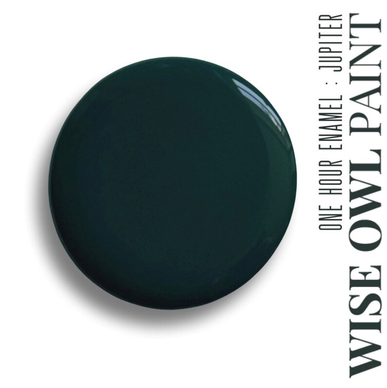 Wise Owl One Hour Enamel Paint Jupiter - Etsy