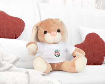 Liverpool Bear - Etsy