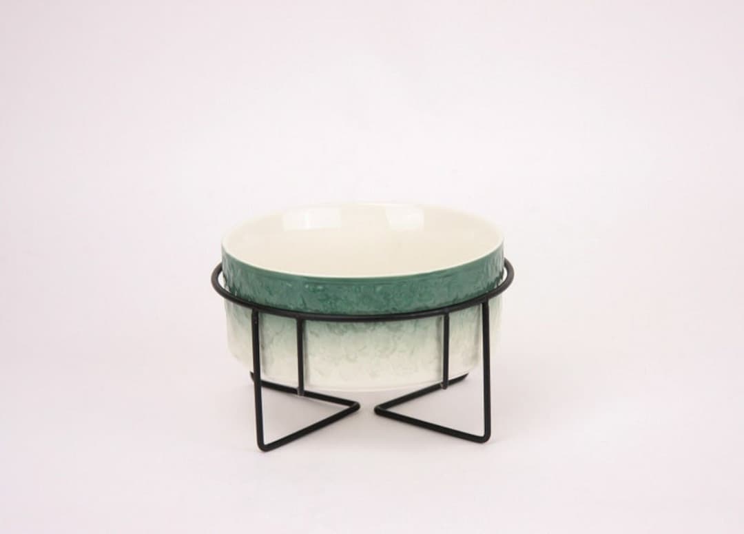 Ombré Green and White Ceramic Dog Bowls on Metal Stands, Modern Dog ...