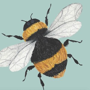 Bumble (blue) Wallpaper - Etsy