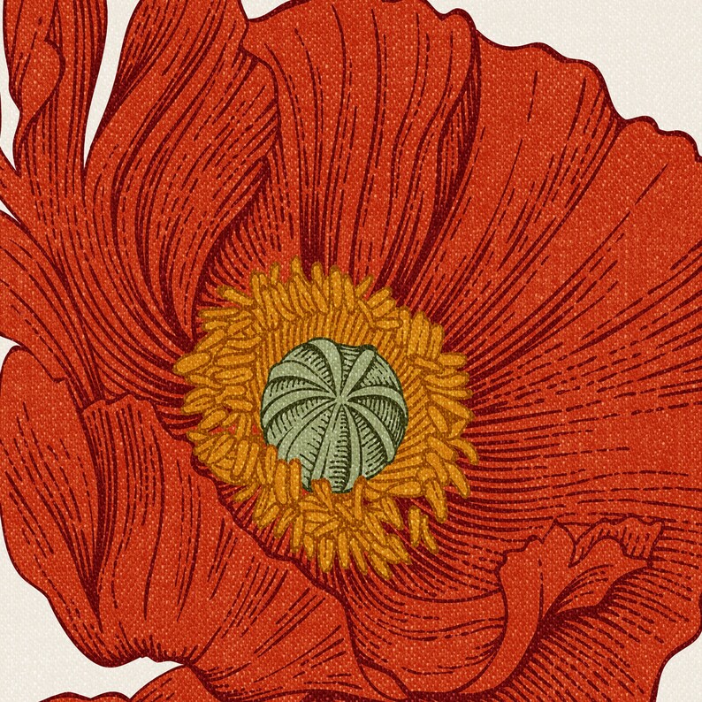 Poppy Lane Wallpaper - Etsy