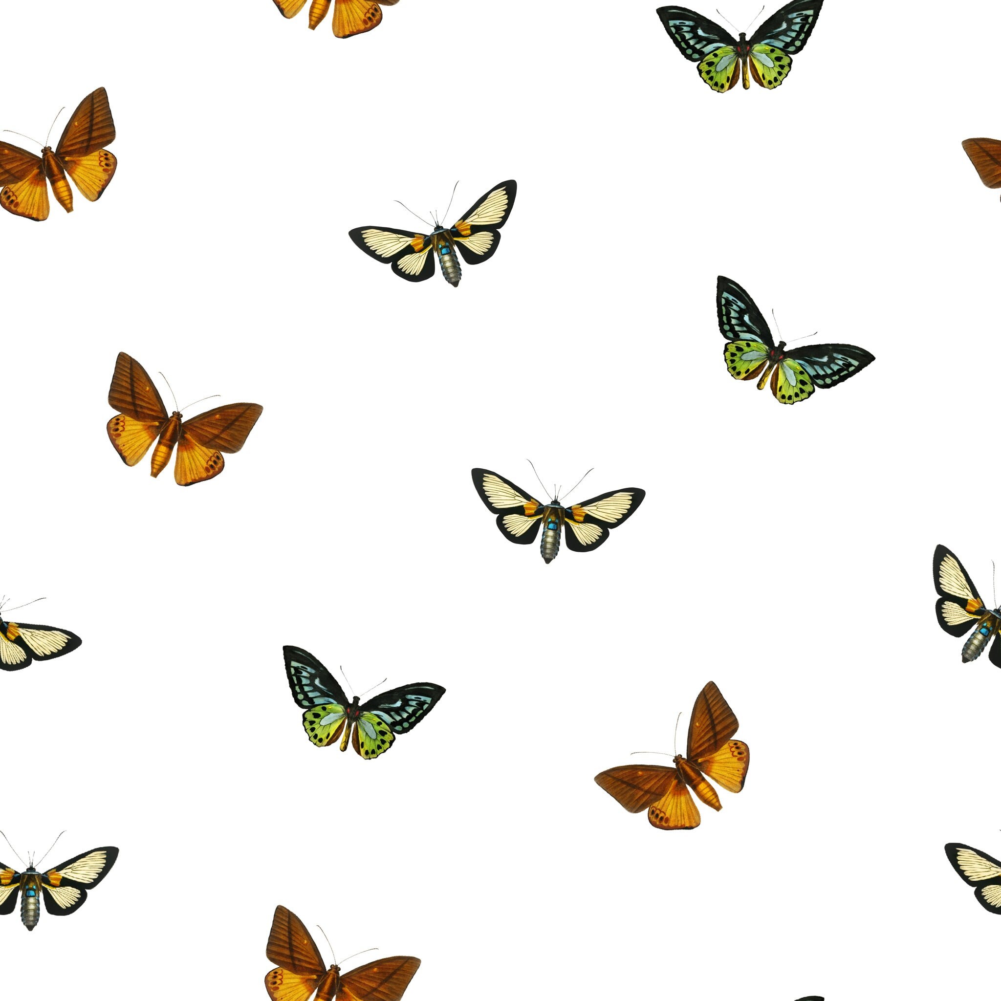 Flutter Wallpaper - Etsy