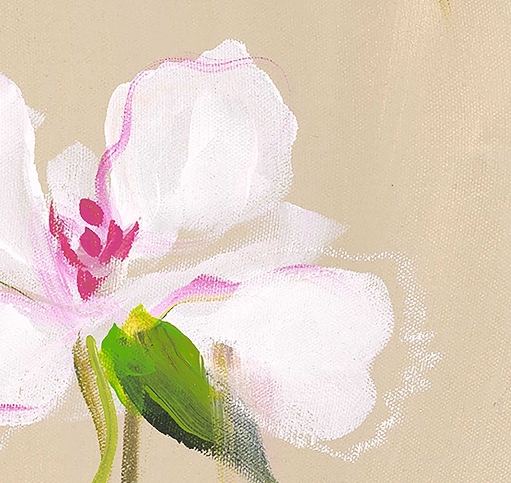 Mariposa Wallpaper - Etsy