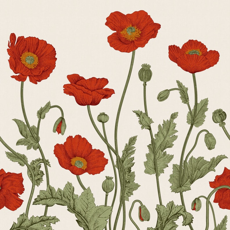 Poppy Lane Wallpaper - Etsy