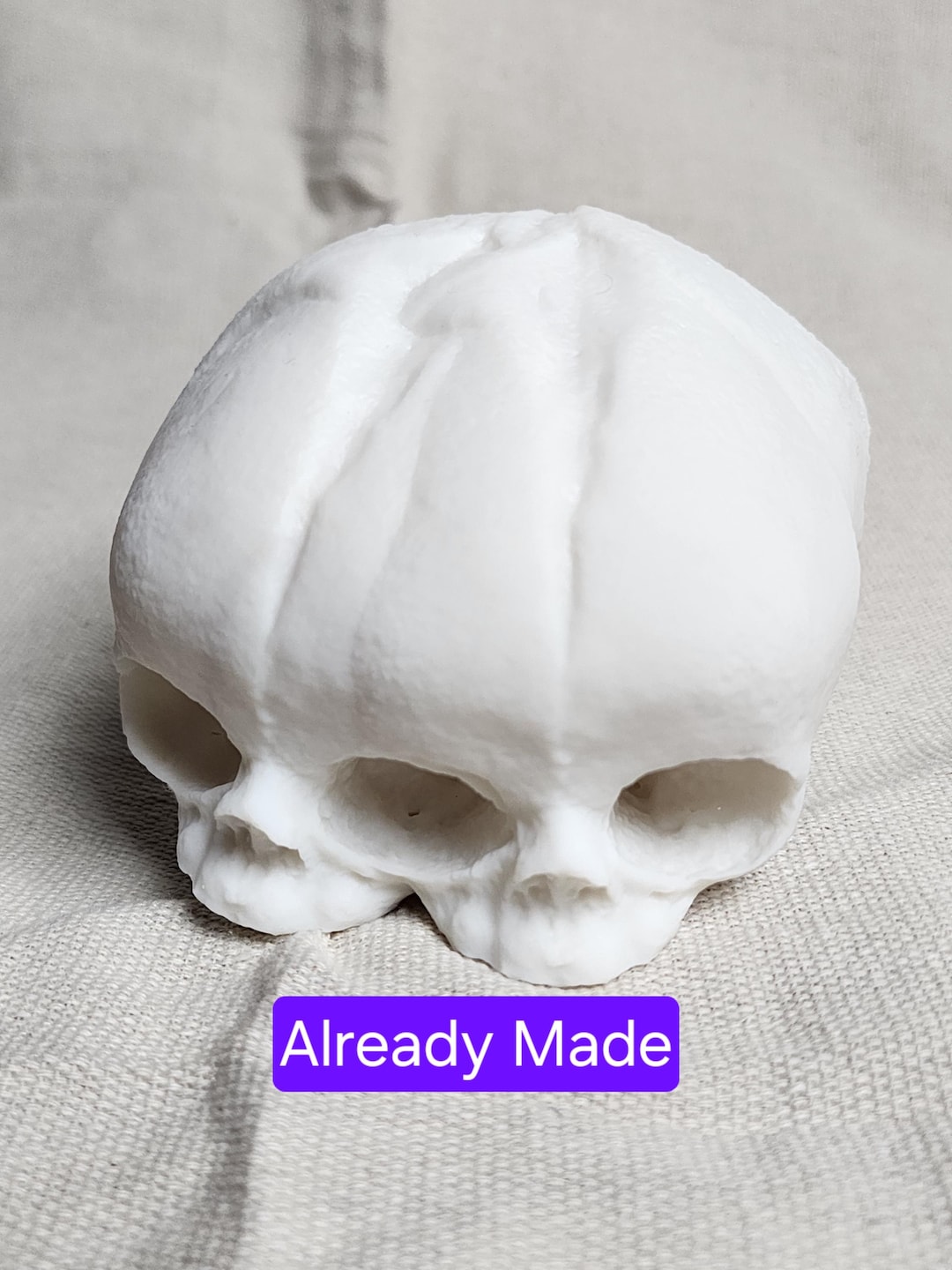 White Resin Replica of an Conjoined Infant Skull Perfect for Displaying ...