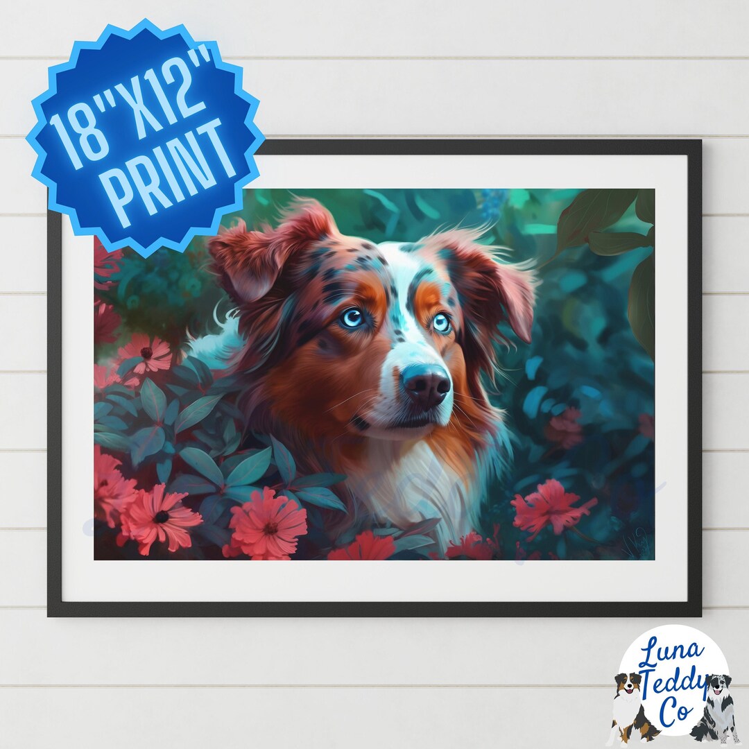 Red Merle in Green, Australian Shepherd PRINT, Physical Art, Beautiful ...