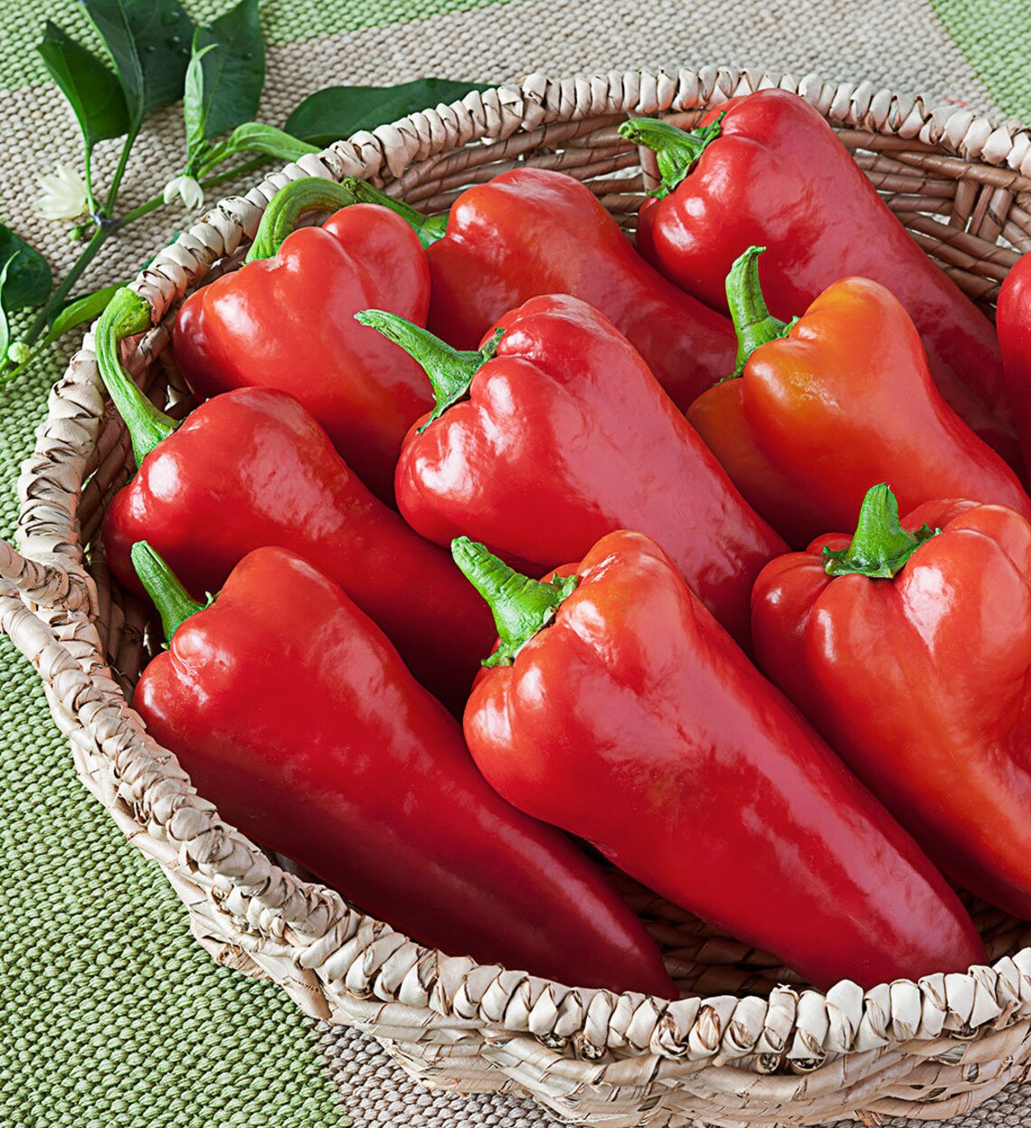 Organic Red Mini-sweet Pepper Seeds - Etsy
