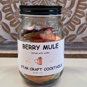 Craft Cocktail Infusion Kit - Cocktail Gift - Wine, Bourbon, Whiskey ...