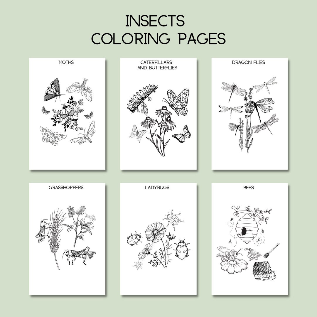 Insects Coloring Pages, 6 Pages, Spring & Summer, Nature Coloring Book ...