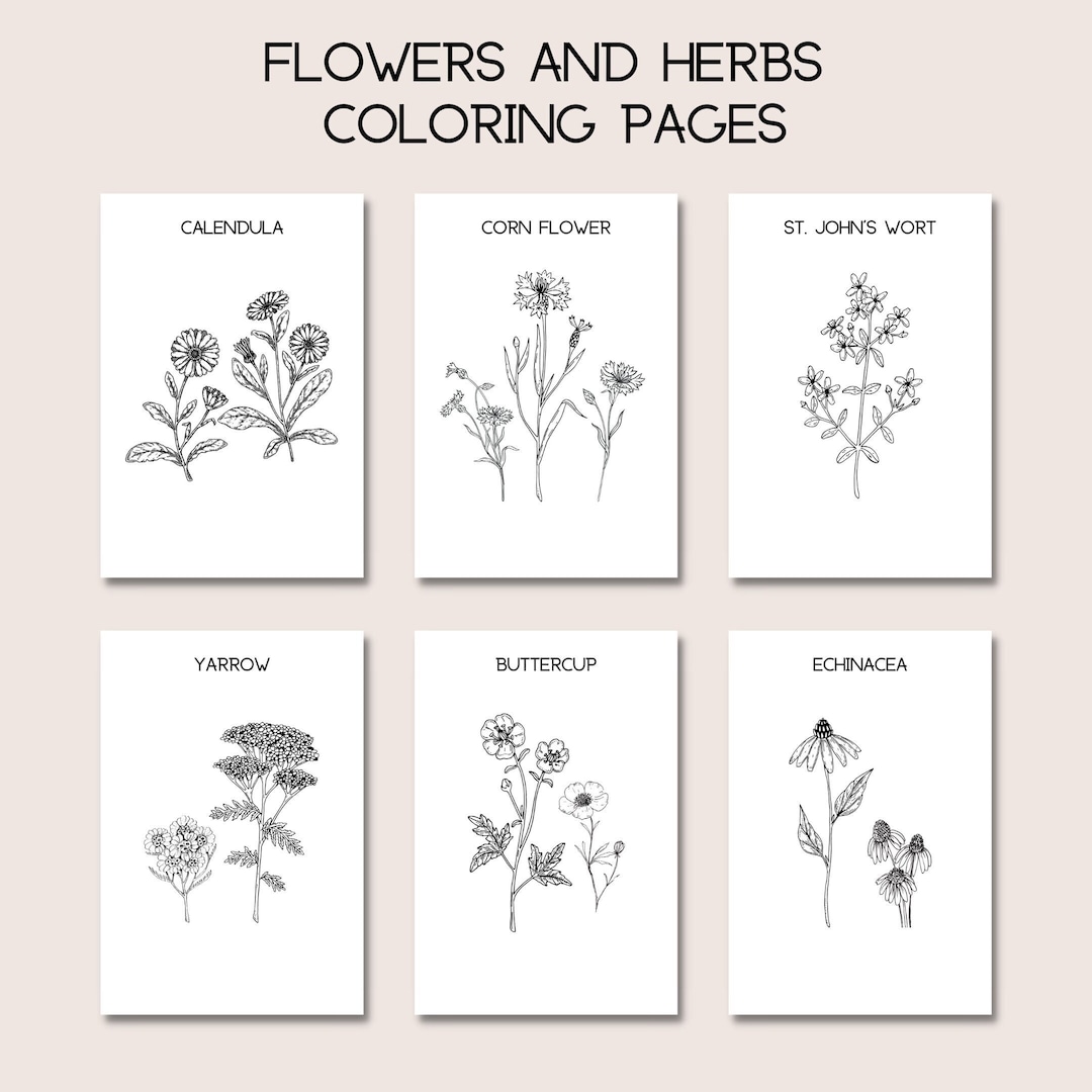 Flowers & Herbs Coloring Pages, 20 Pages, Spring and Summer, Homeschool ...