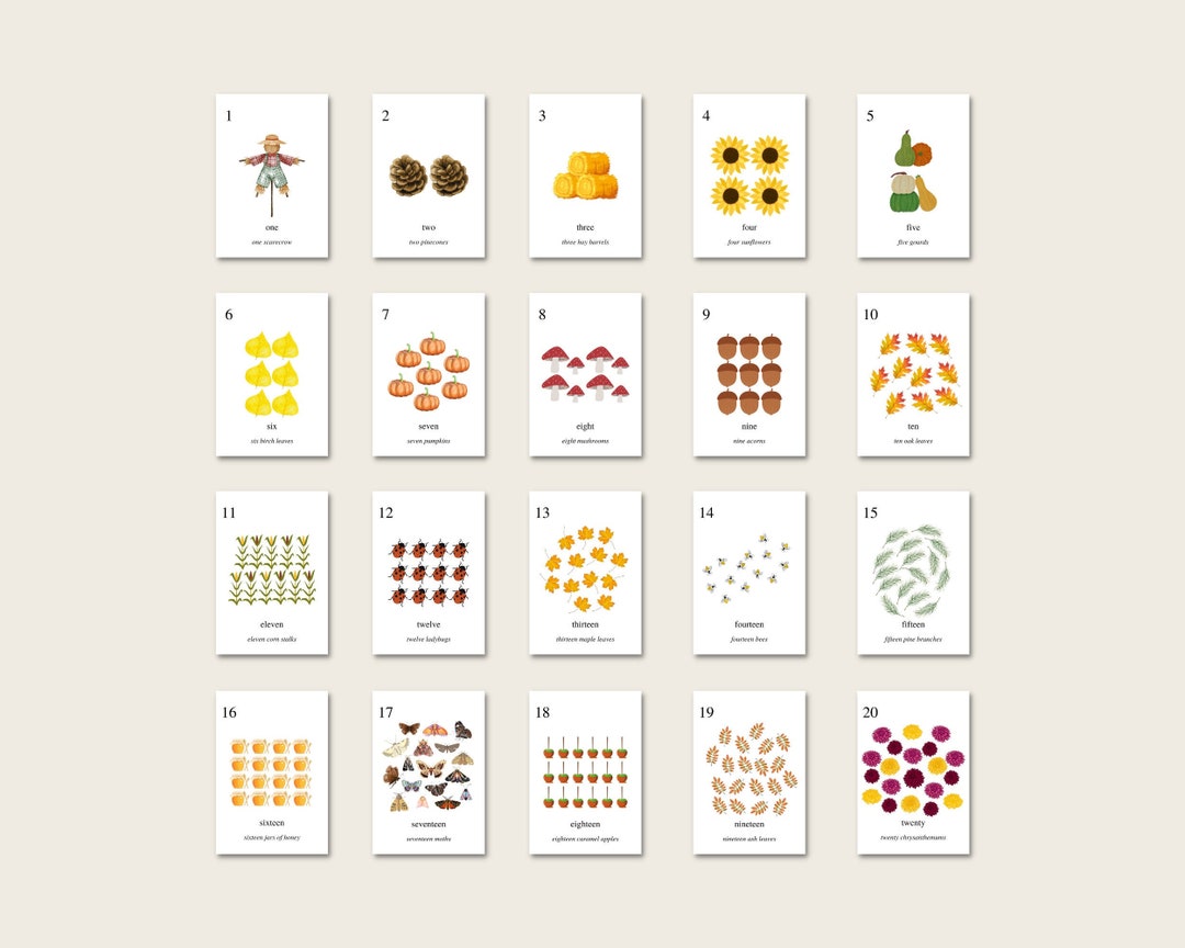 Autumn Number Flashcards, Seasonal Flashcards, Homeschool Printable - Etsy
