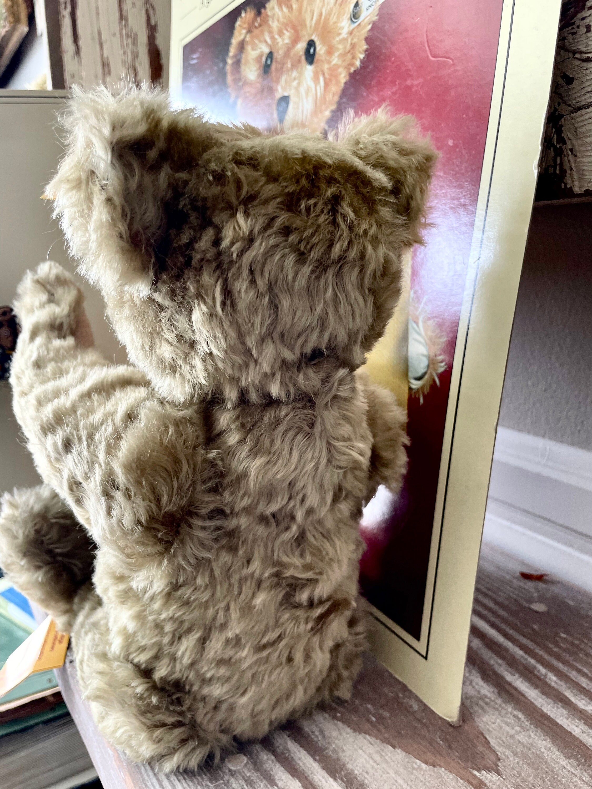 Genuine and Timeless, the Steiff 1920 Teddy Bear STEIFF Teddy Bear ...