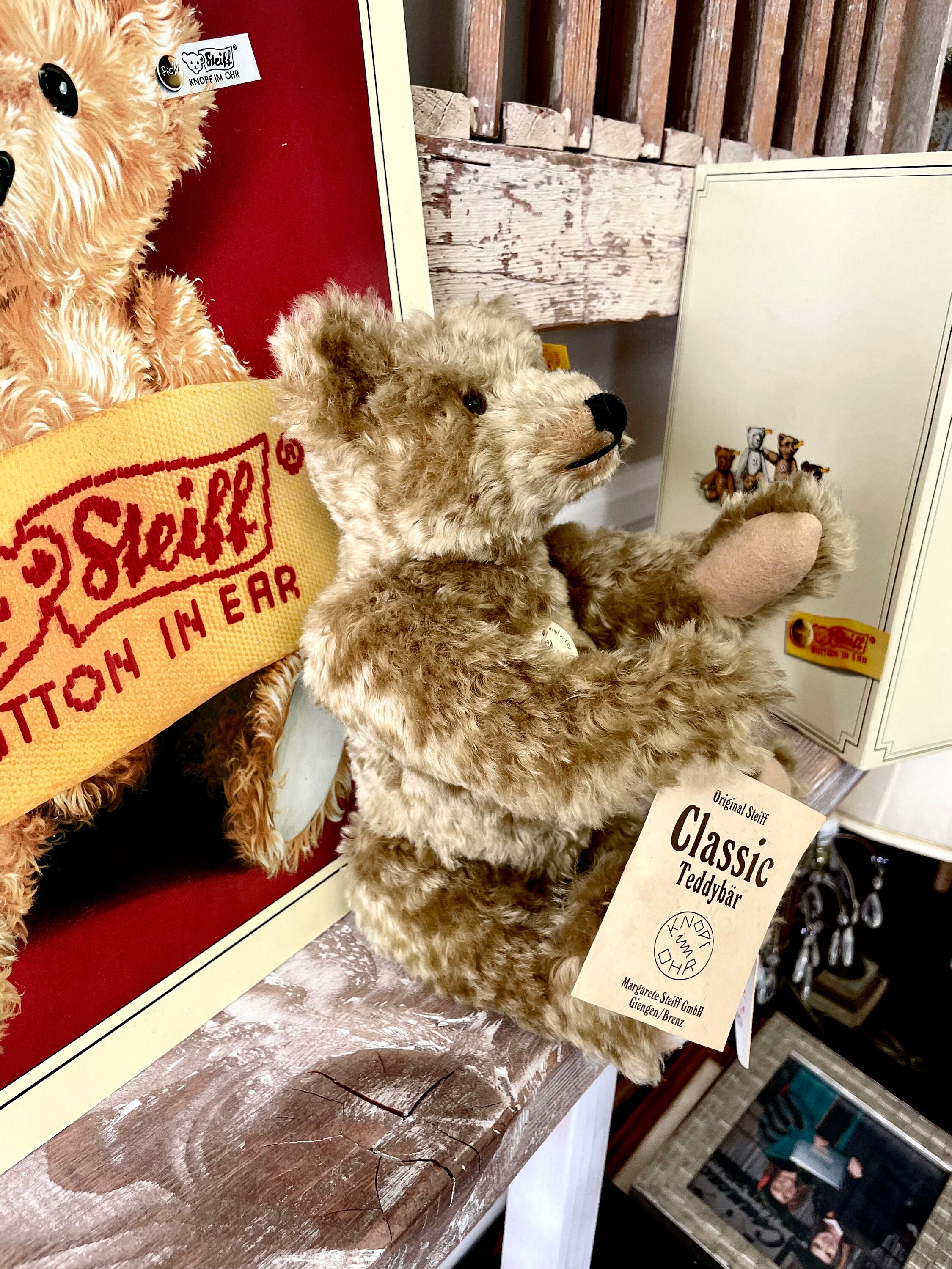 Genuine and Timeless, the Steiff 1920 Teddy Bear STEIFF Teddy Bear ...