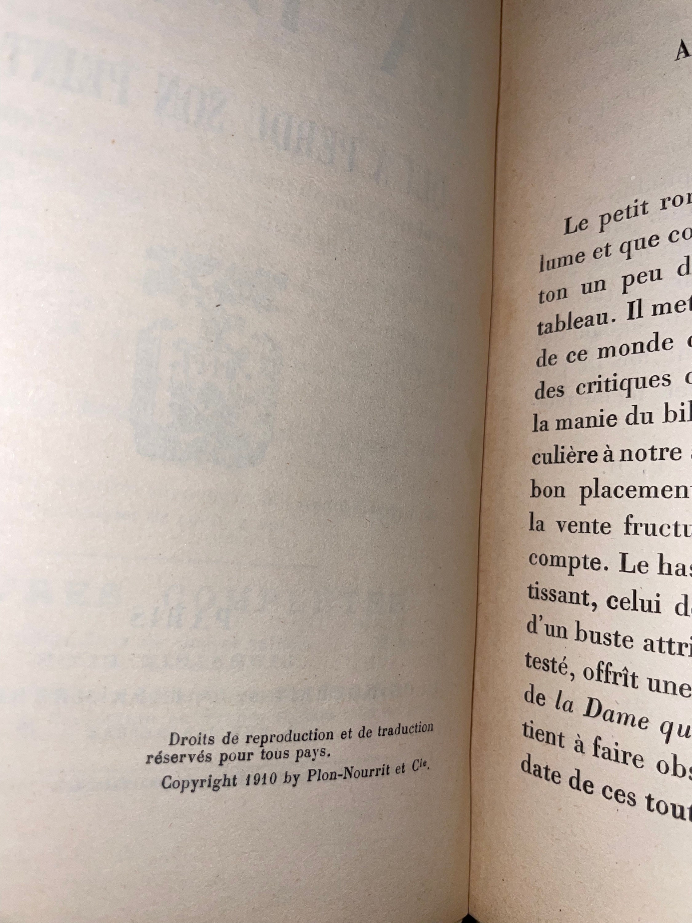 La Dame Qui A Perdu Son PEINTRE Par Paul BOURGET /the Lady Who Lost Her ...