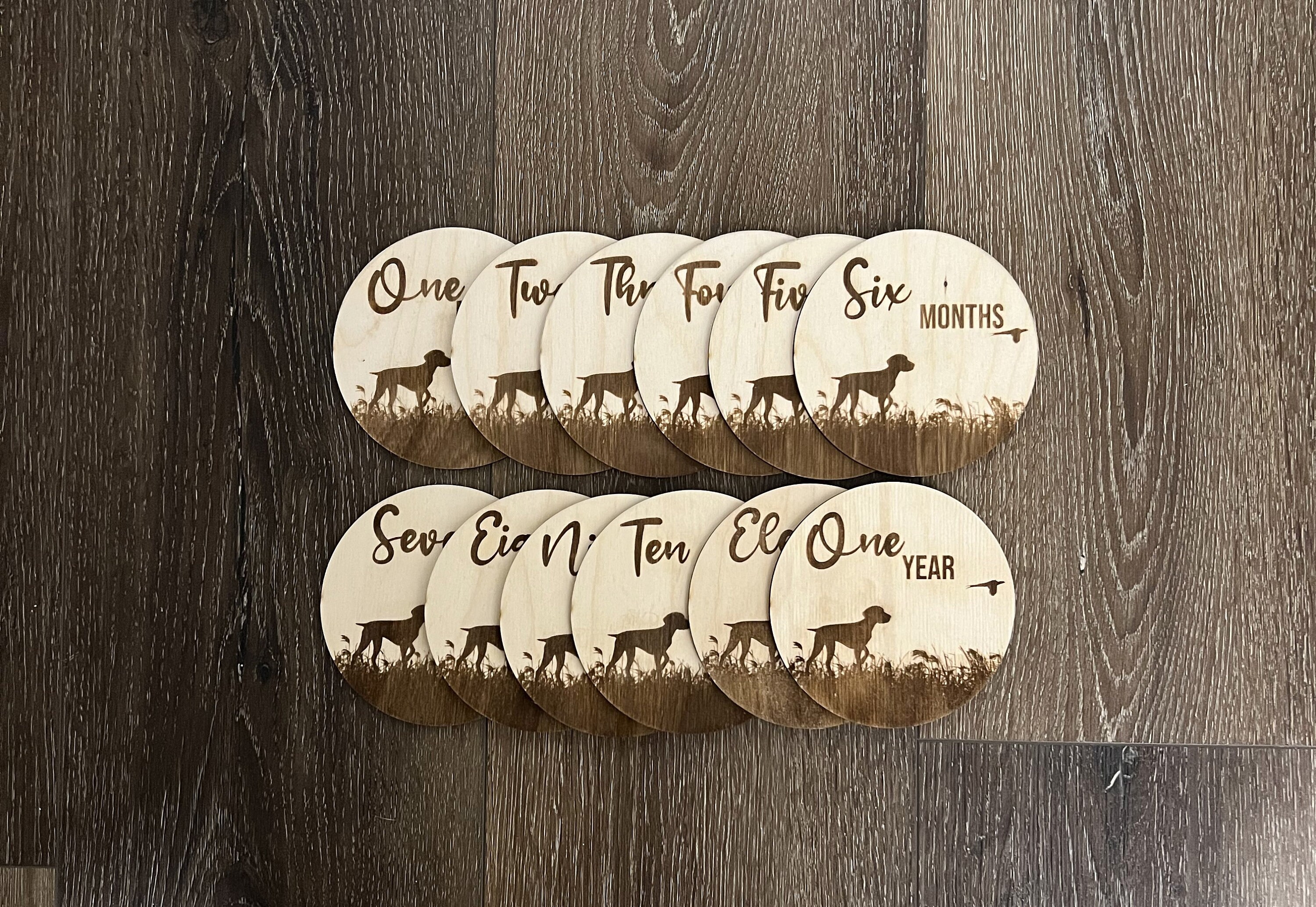 GSP Baby Milestones German Shorthaired Pointer Hunting Nursery Decor ...