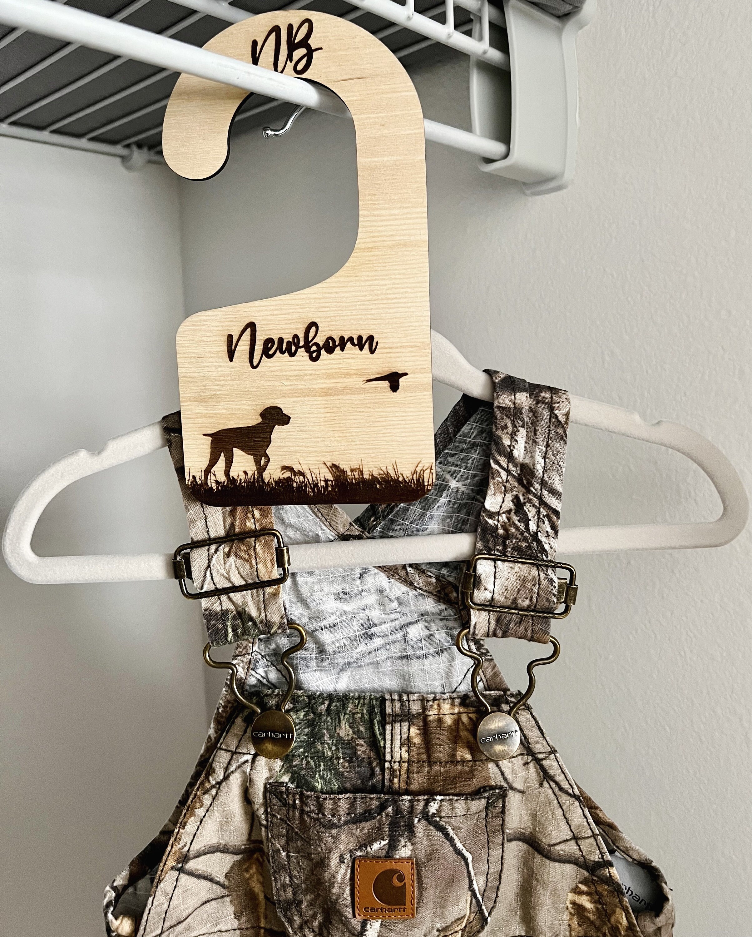 GSP Baby Bundle | Milestones & Closet Dividers | German Shorthaired ...