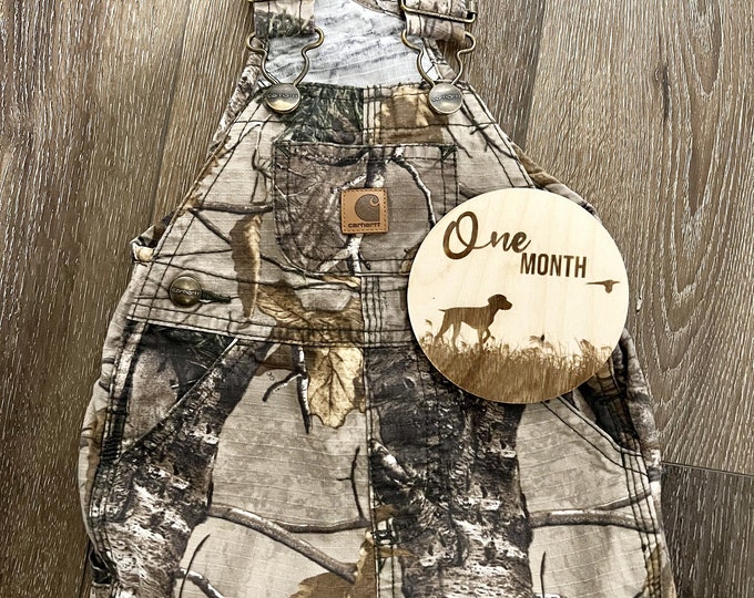 GSP Baby Milestones | German Shorthaired Pointer | Hunting Nursery ...