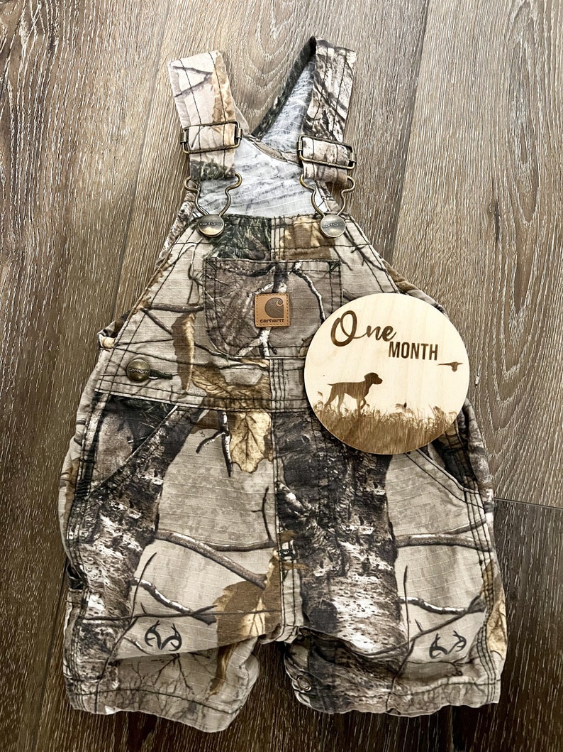 GSP Baby Milestones German Shorthaired Pointer Hunting Nursery Decor ...