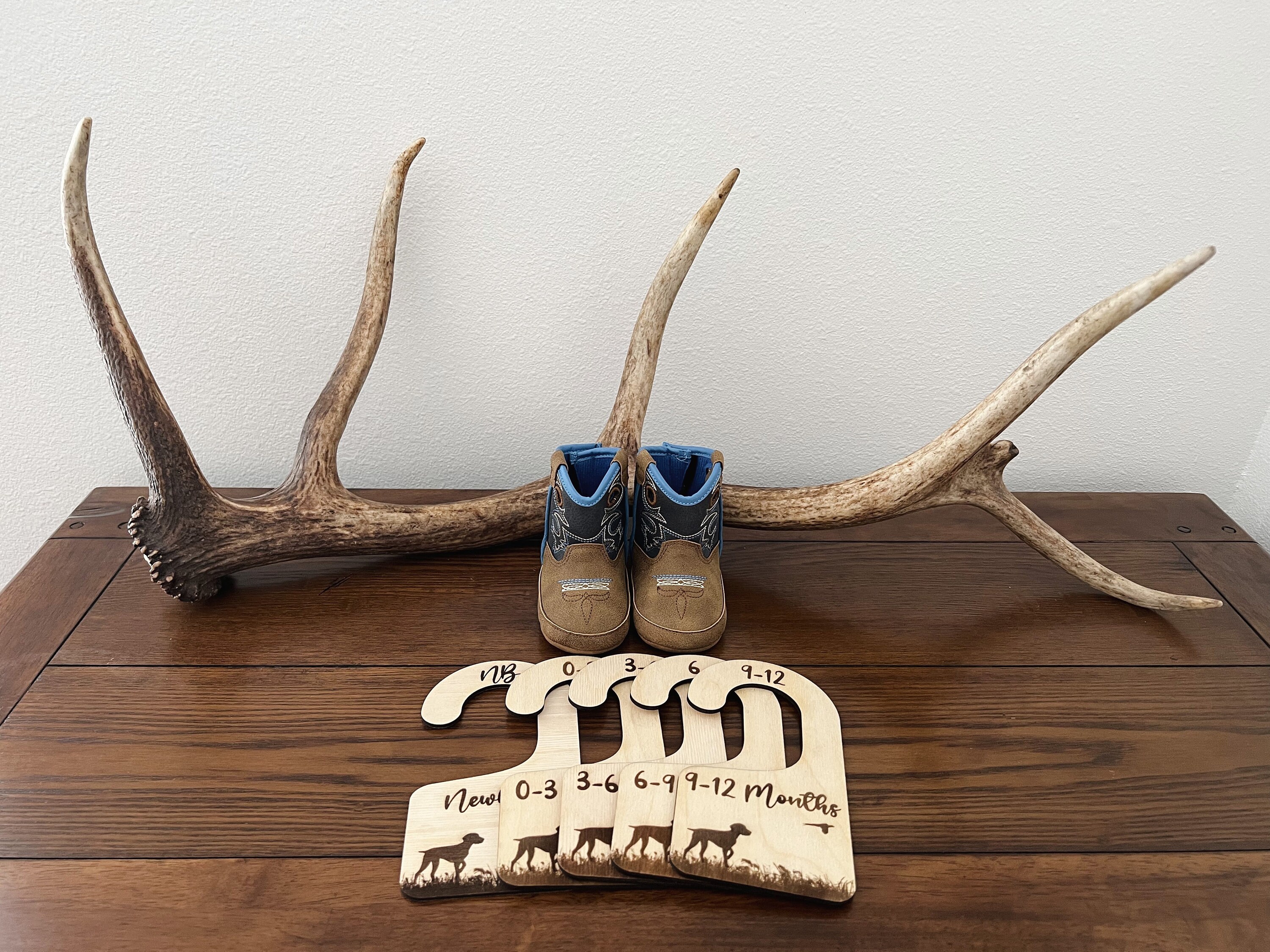 GSP Baby Bundle | Milestones & Closet Dividers | German Shorthaired ...