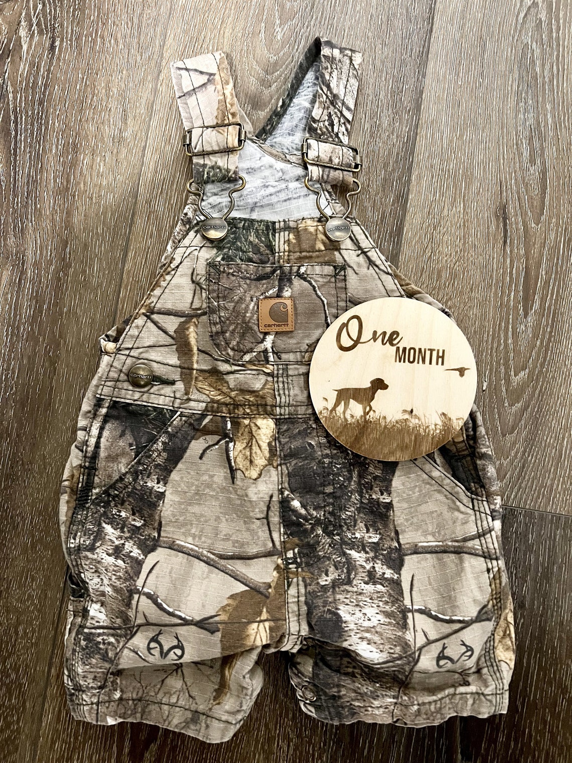 GSP Baby Bundle | Milestones & Closet Dividers | German Shorthaired ...