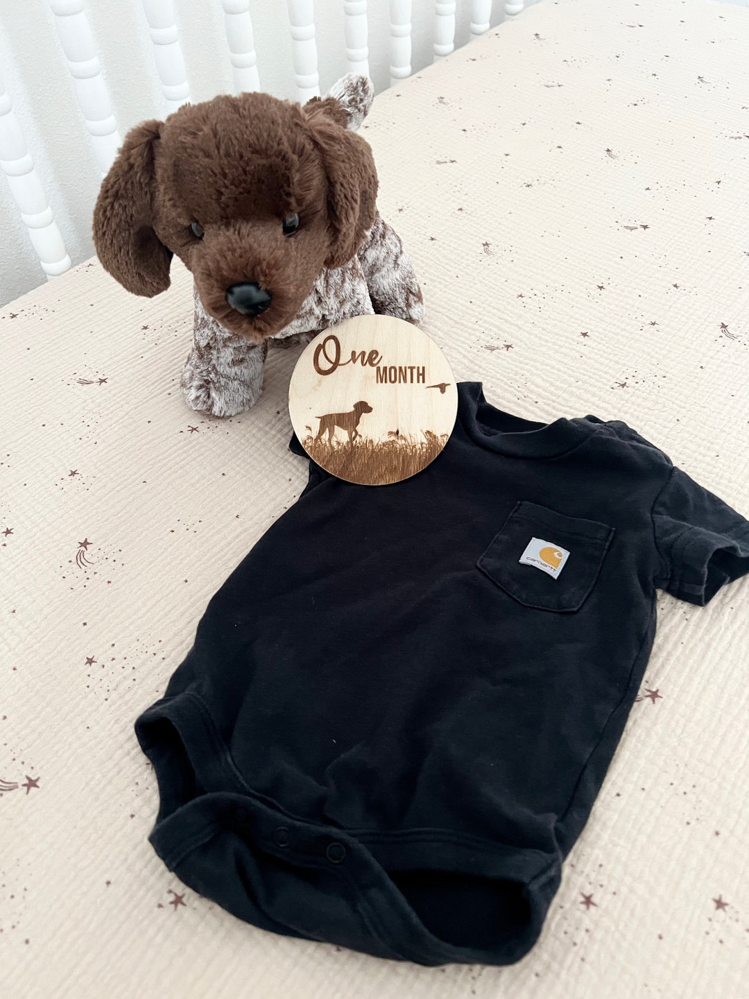 GSP Baby Milestones | German Shorthaired Pointer | Hunting Nursery ...