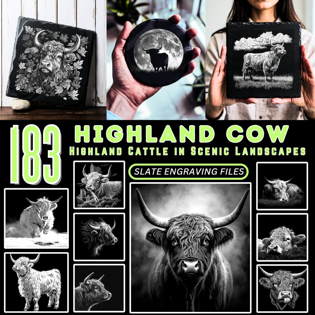 Slate Engraving Files Highland Cow Highly Detailed Highland Cattle in ...