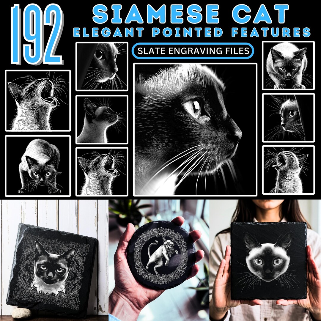 Slate Engraving Files Siamese Cat Slate Engraving Elegant Pointed ...