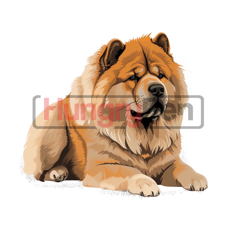 Chow Chow PNG Printable High Quality Sublimation Design Cute - Etsy