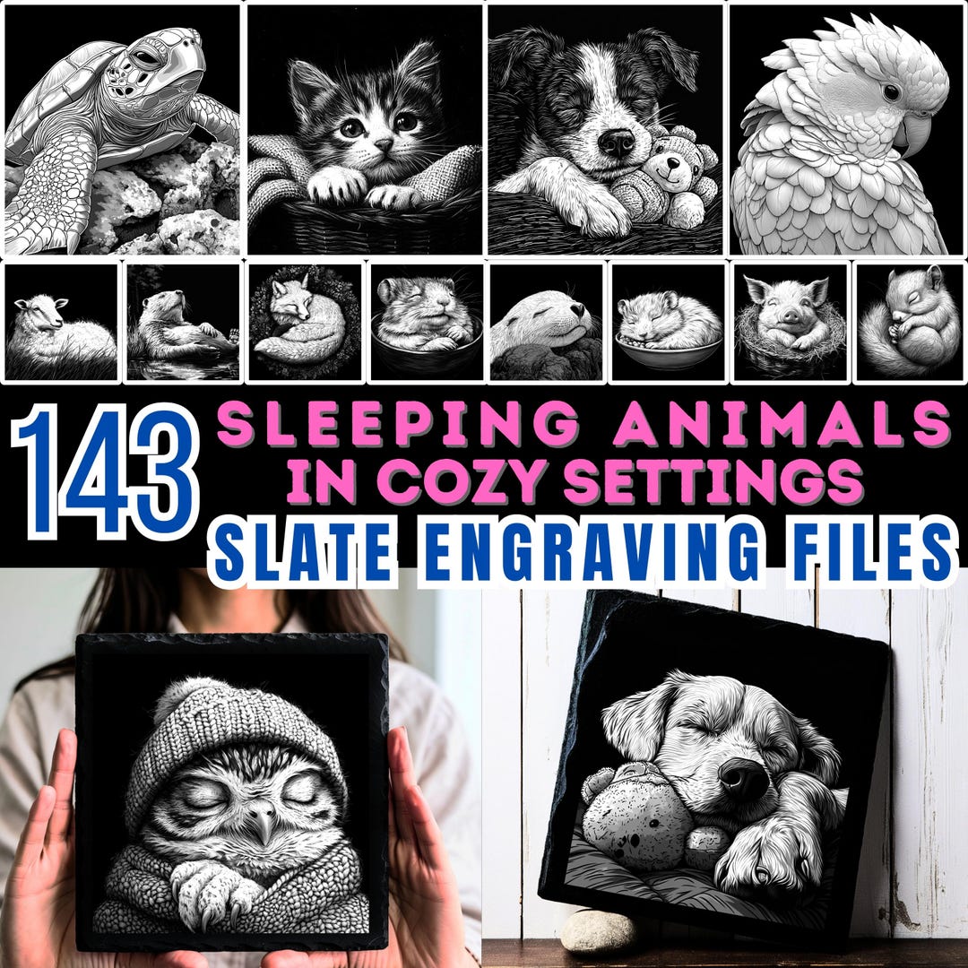 Slate Engraving Files Sleeping Animals in Cozy Settings Bundle Coaster ...