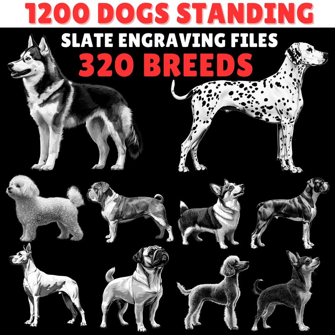 Slate Engrave Files Dogs Standing Pose All Breeds Png & Jpeg Laser ...