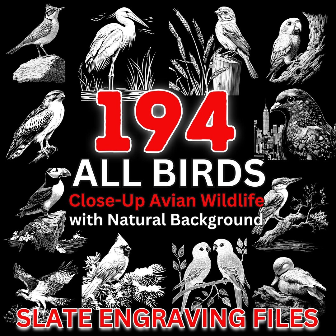 Slate Engrave Files All Birds - Close-up Avian Wildlife, Laser Ready ...