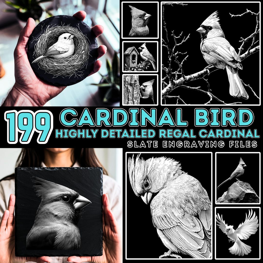 Slate Engraving Files Cardinal Bird Highly Detailed Regal Graphic ...