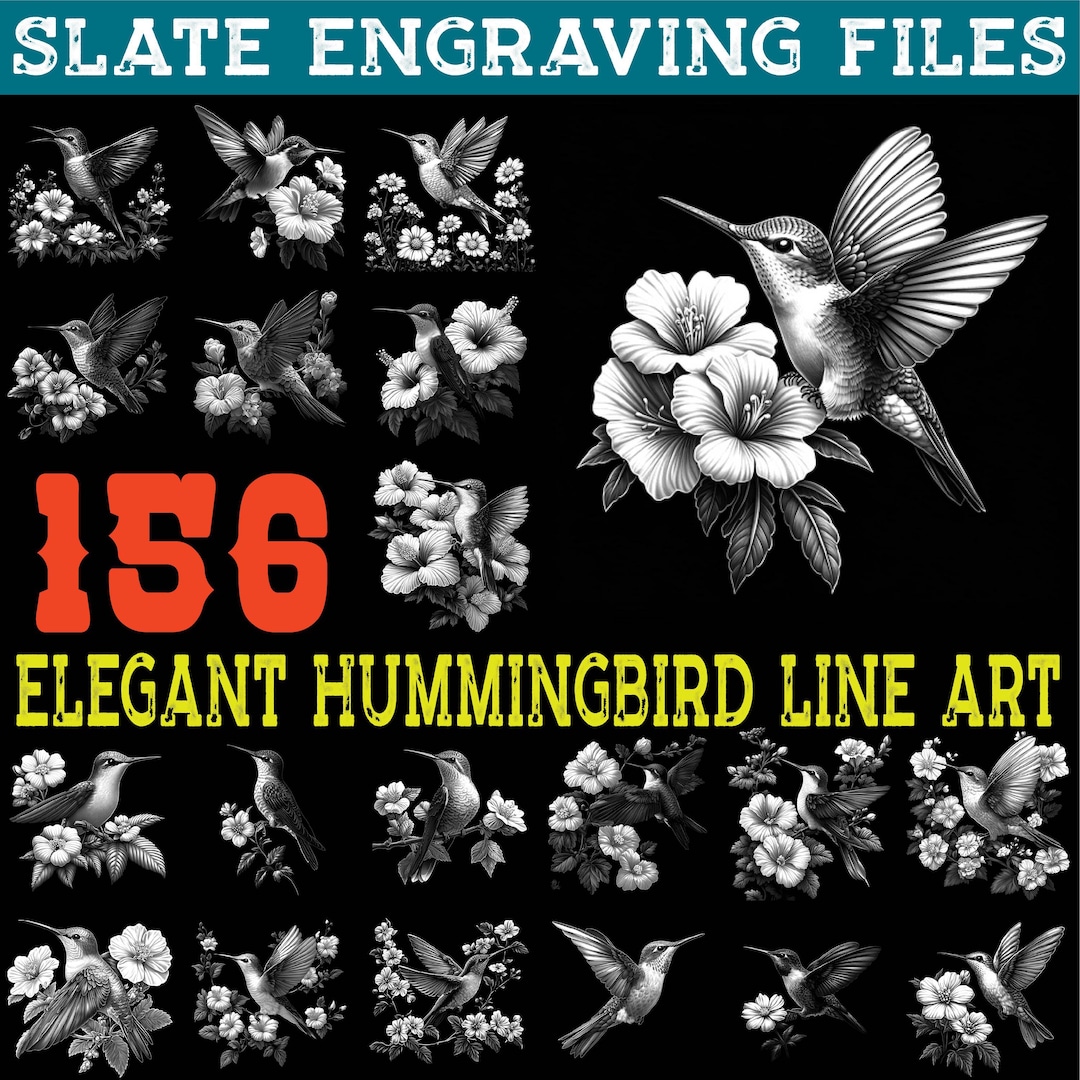 Slate Engraving Files Elegant Hummingbird Line Art Engraving Set Bundle ...