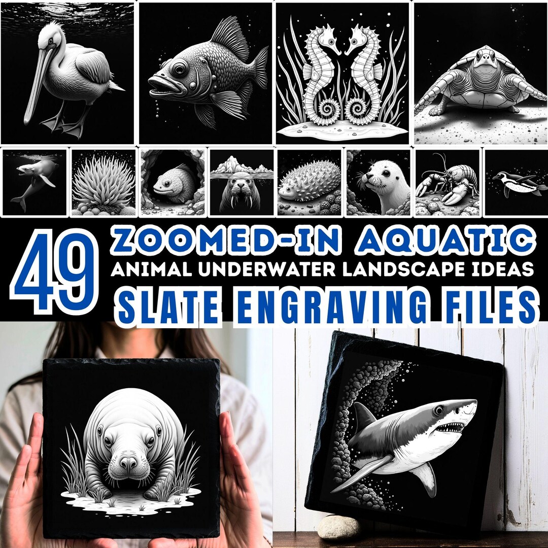 Slate Engraving Files Zoomed-in Aquatic Animal Underwater Landscape ...