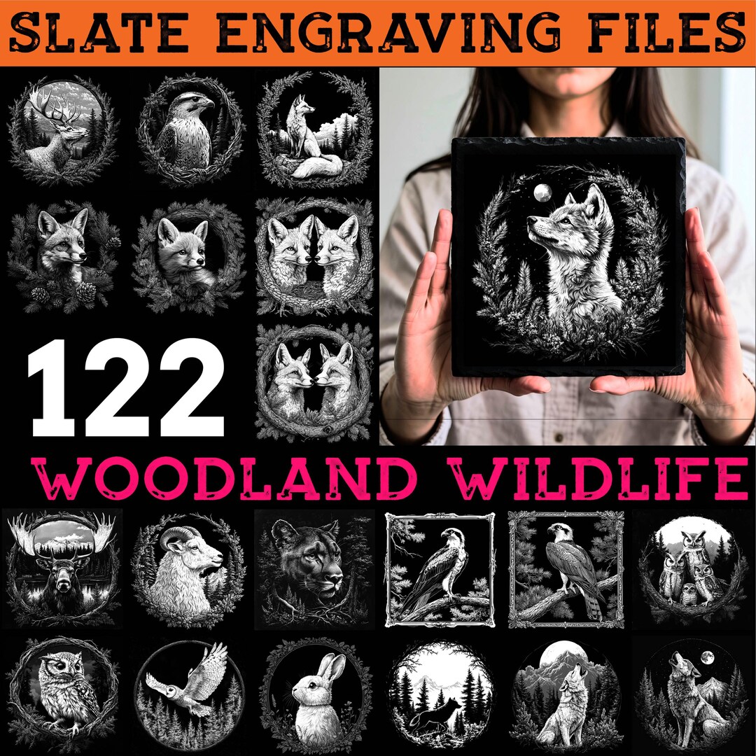 Slate Engraving Files Scratchboard-style Close-up Woodland Wildlife ...