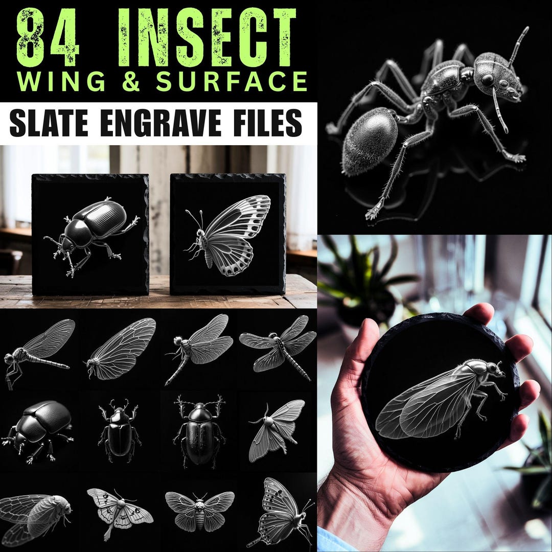 Slate Engrave Files Featuring Intricate Insect Wing and Surface Detail ...