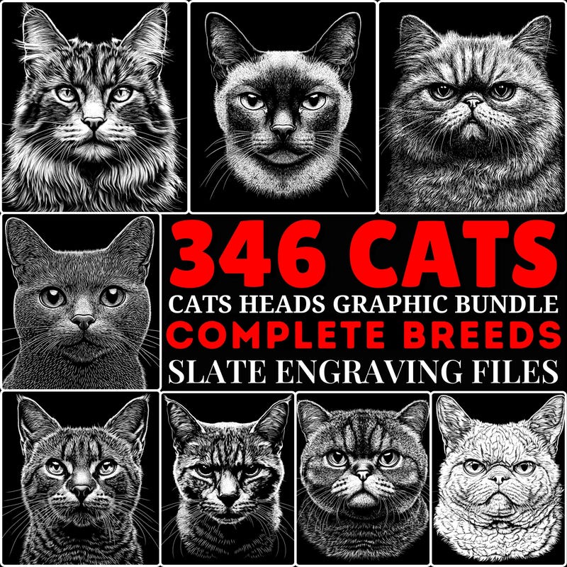 Cat Slate Laser Engrave - Etsy