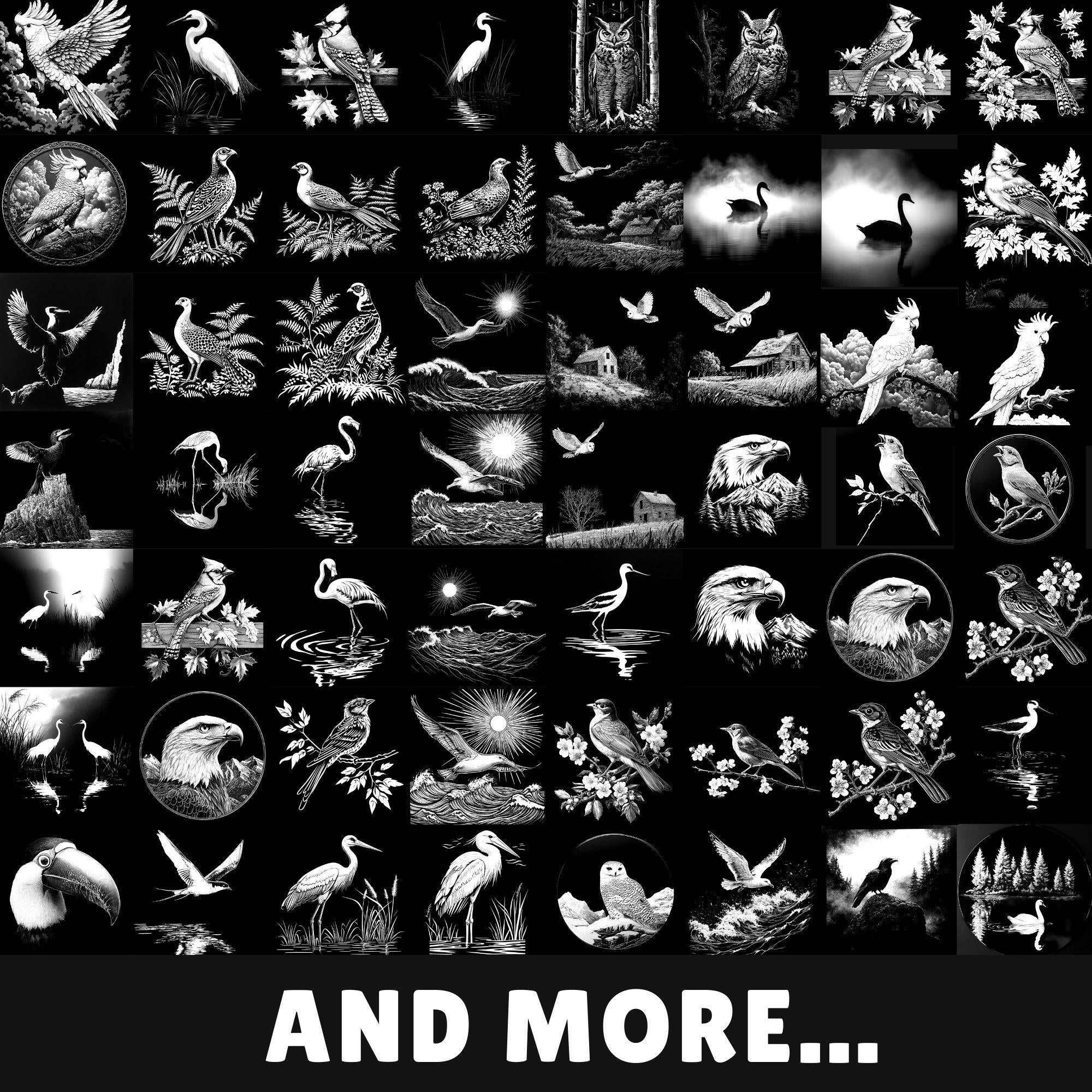 Slate Engrave Files All Birds - Close-up Avian Wildlife, Laser Ready ...