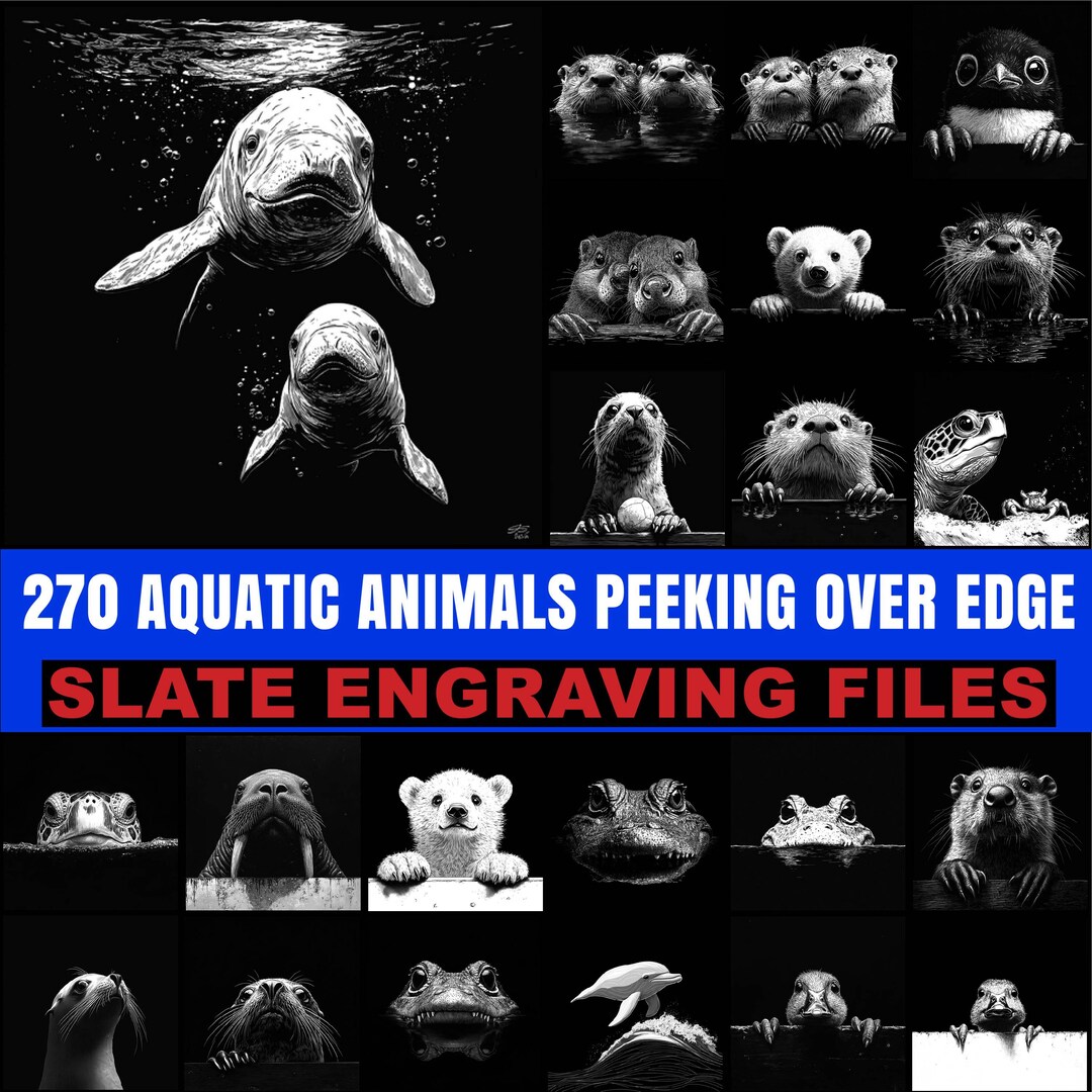 Slate Engraving Files Aquatic Animals Peeking Over Edge Bundle Coaster ...