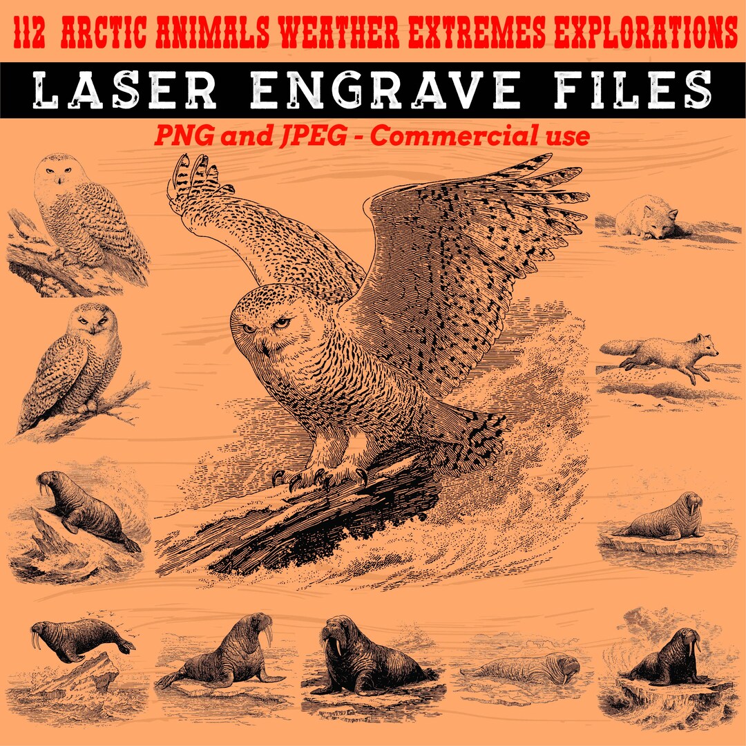 Laser Engraving Files Arctic Animals Weather Extremes Explorations ...