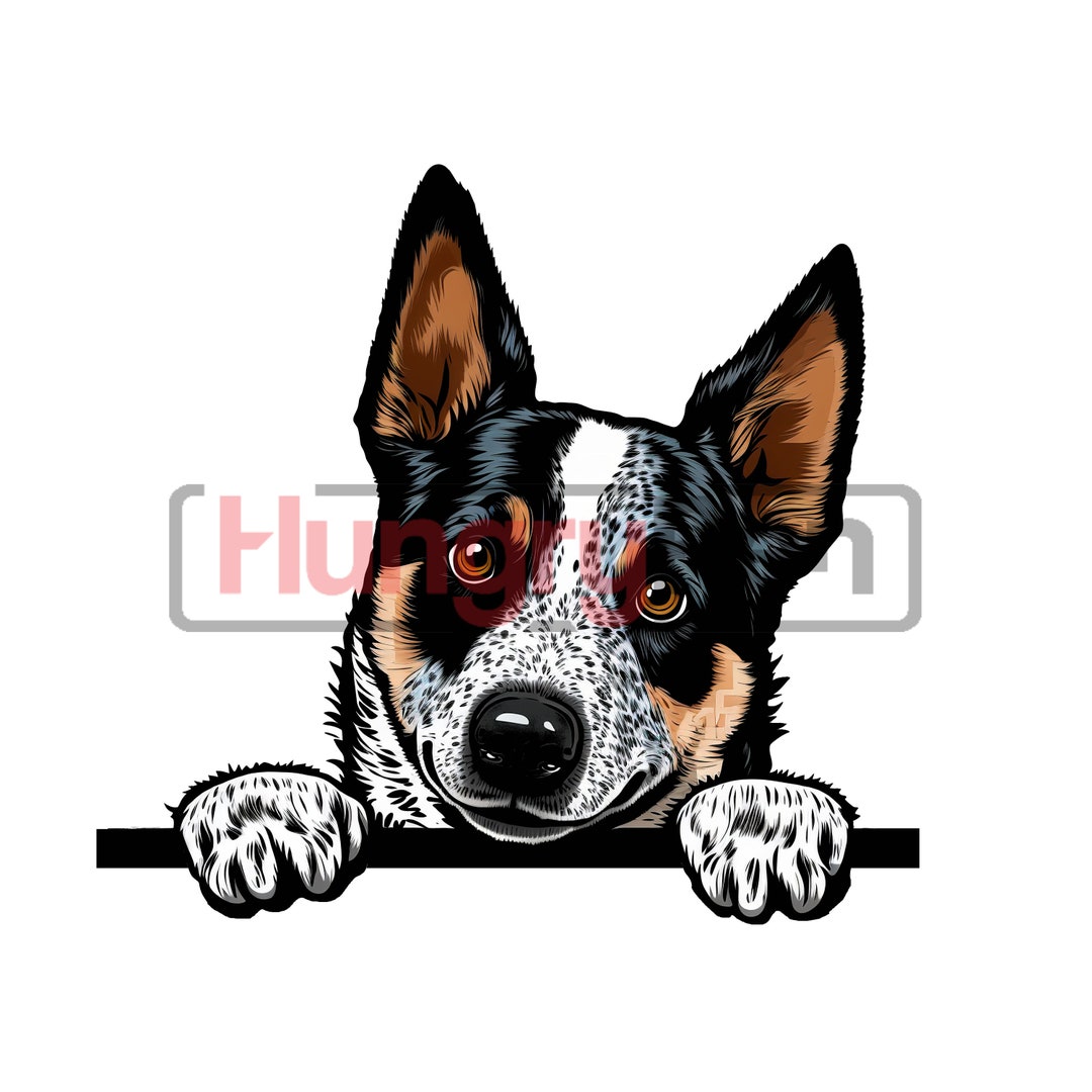 Heeler PNG Printable Sublimation Design or Clipart peeking - Etsy
