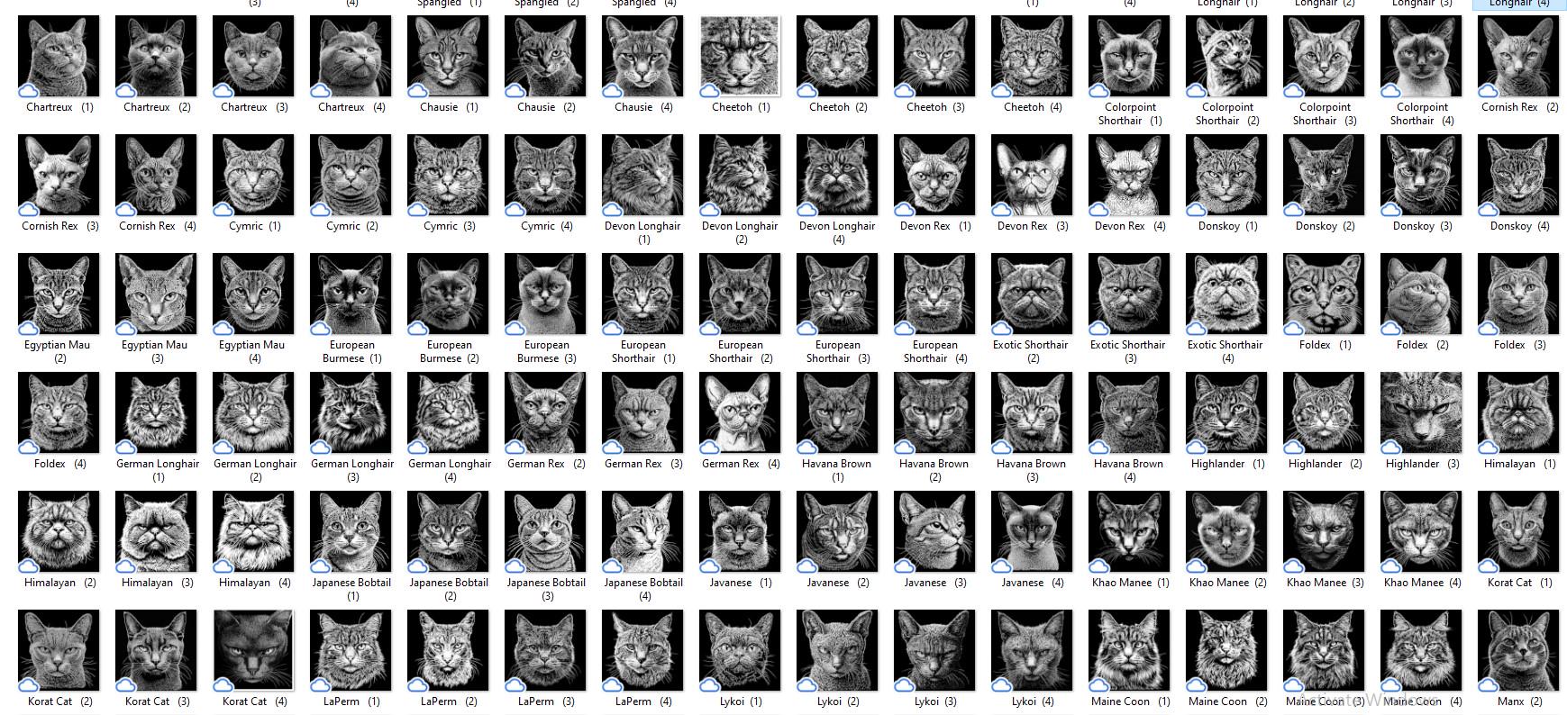 Slate Engrave Files Cats Head Front View All Breeds , Laser Ready PNG ...